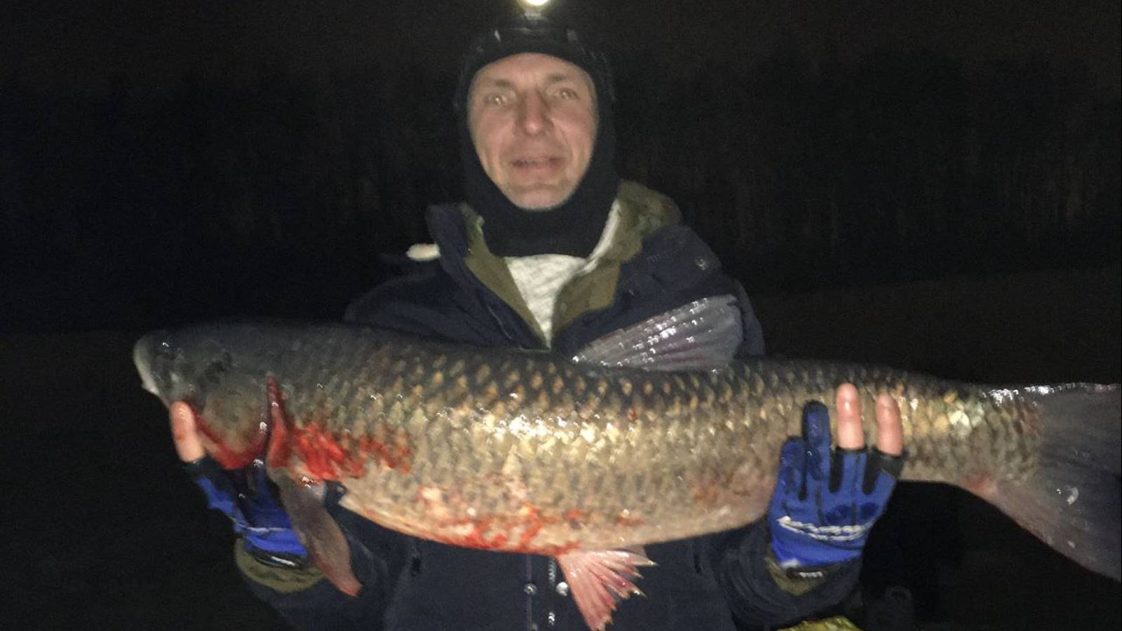 А ты думаешь чем ловить зимой