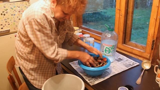 Мариновать грибы - ПРОСТО! Часть 1