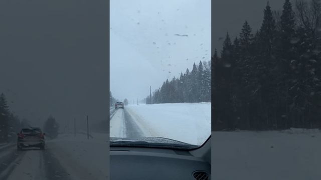 Зимние пейзажи.Поездка на машине#Shorts#TikTok#красота #природа #