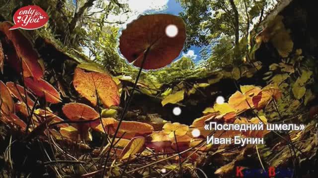 Последний шмель»