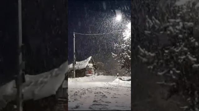 Ночь, улица,фонарь , аптека#shorts #природа #ночь