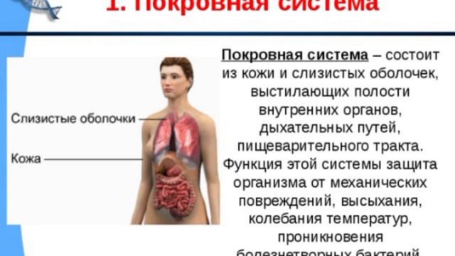 Исцеление всех болезней покровной системы - сеанс Алмазные рейки