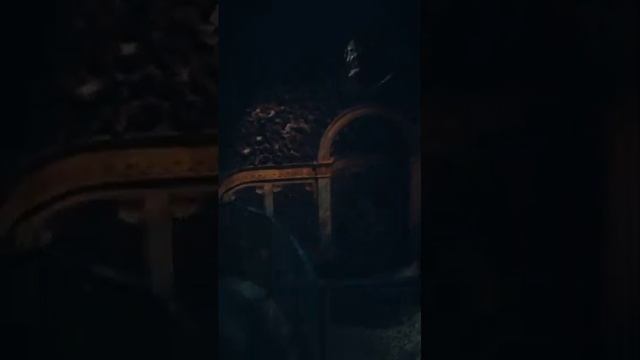 Grébovka , Prague,Гавличковы сады #shorts #short #shortsvideo #прага