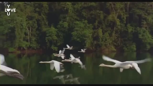 Пора осенняя#В.Петвал