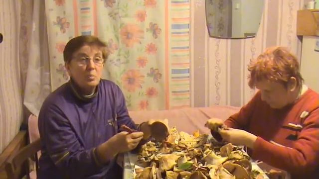 Грибные посиделки. Часть 1