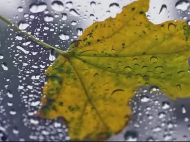 ОСЕНЬ!#Осень