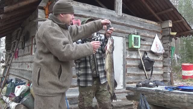 Три дня в тайге / изба / рыбалка на жерлицы / щуки и налимы / капканы на куницу