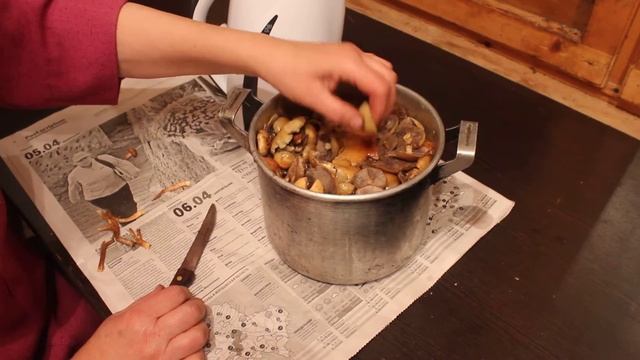 1 часть. Горячая засолка грибов. Ложноопёнок серопластинчатый.