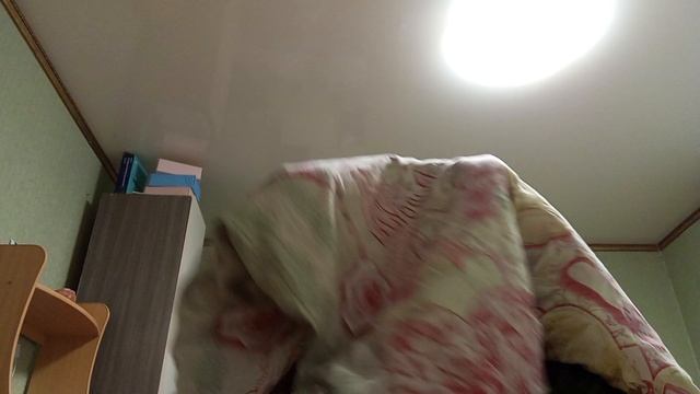 страхи мышки