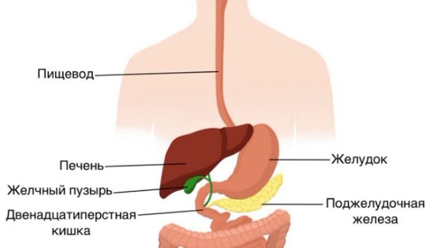 Исцеление всех болезней пищеварительной системы - сеанс Алмазные рейки