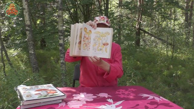 Наш любимый грибной справочник - Ф.В. Фёдоров "Грибы"