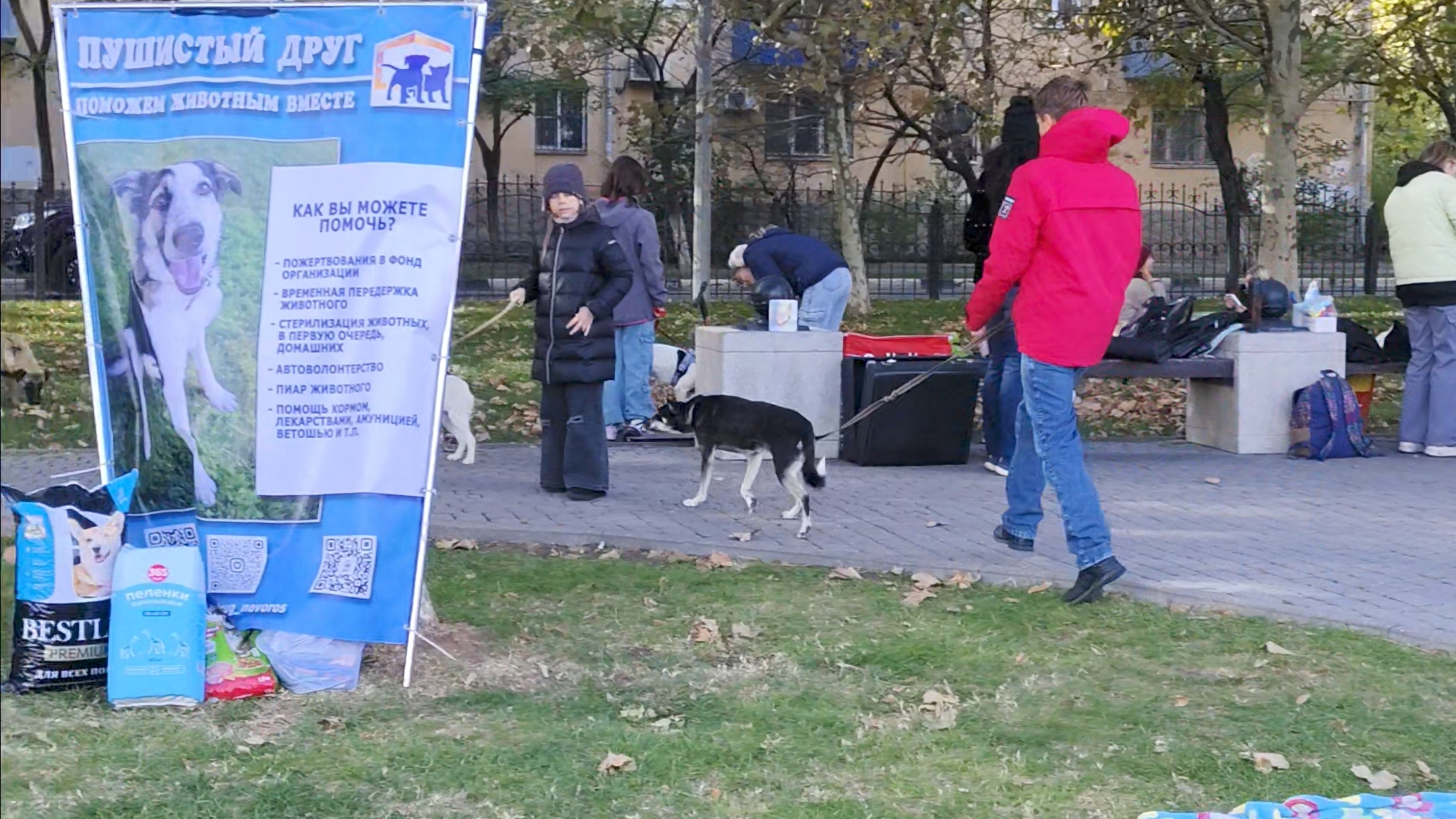 Веселая акция  Новороссийск набережная 2024