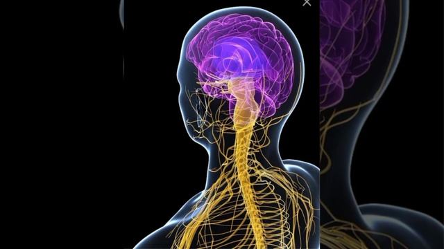 Исцеление всех болезней нервной системы (головной и спинной мозг, нервные клетки) - сеанс Алмазные р