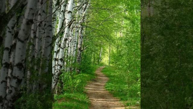 Очистка человека - сеанс Кундалини рейки