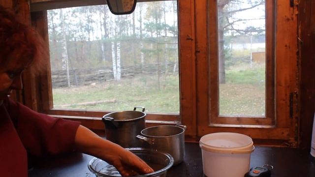 Горячая засолка Соснового опёнка - Hypholoma capnoides