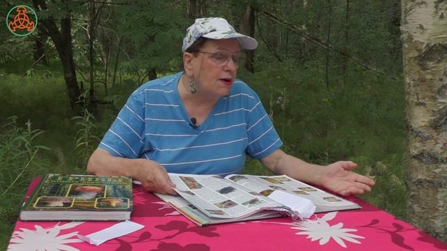 Бессистемно о 1500 грибов! Обзор книги "ГРИБЫ РОССИИ ...." Библиотечка "Грибоведов"