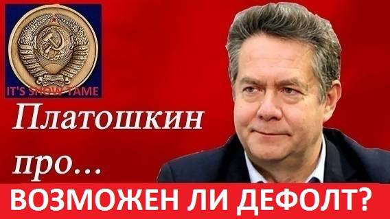 Н.ПЛАТОШКИН.ВОЗМОЖЕН ЛИ ДЕФОЛТ? #актуальнаятема #fromrussia #платошкин #politic #общество #todeynews