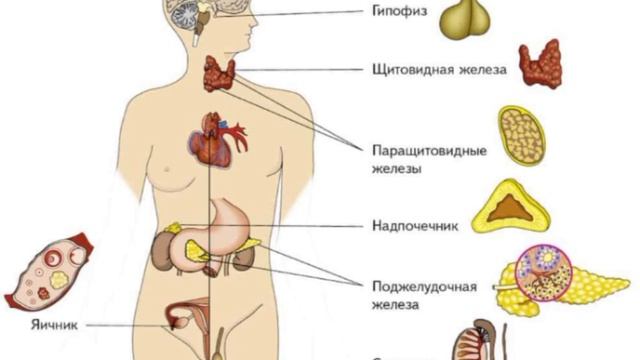 Исцеление всех болезней эндокринной системы - сеанс Алмазные рейки