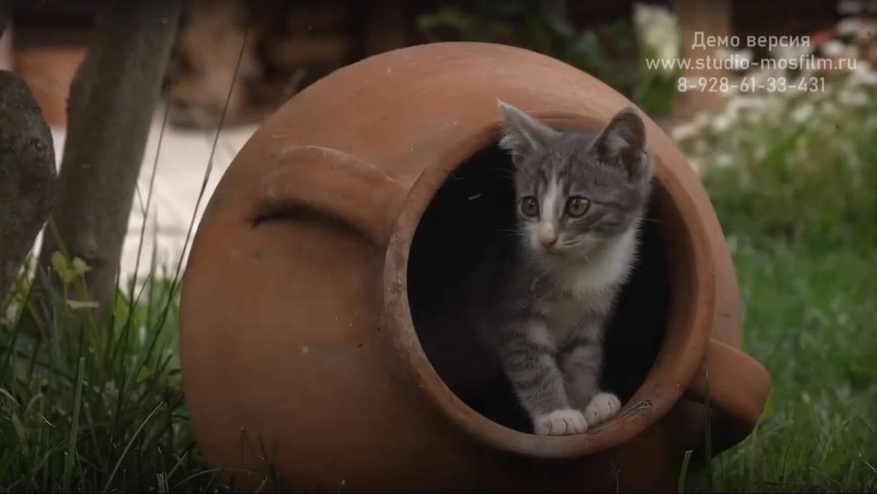 Биографический фильм к юбилею | История жизни человека в формате кино