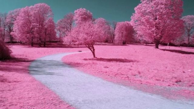 Очистка всех блоков из-за которых ребенок в школе плохо учится - сеанс Кундалини рейки