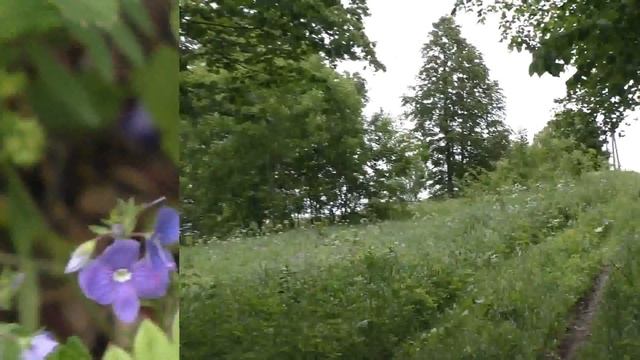 Знакомство с мастером и его деревней.