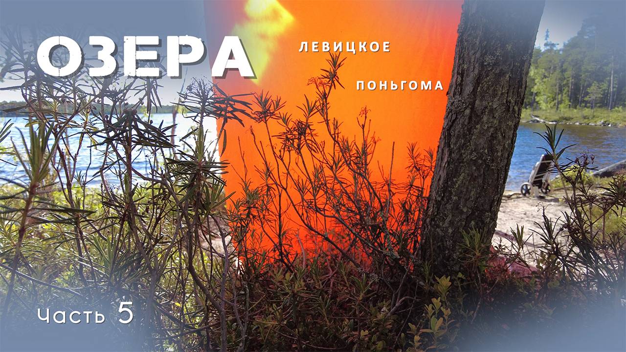 Озера Левицкое и Поньгома, на байдарке Викинг 4,7 - Из Зеленоборского в Кемь, часть 5
