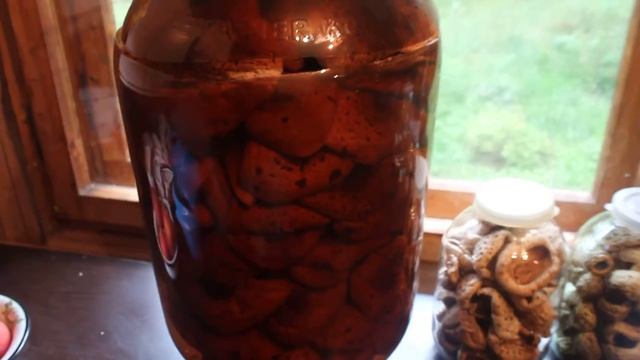 Идея для хранения грибов! Кег из-под пива.