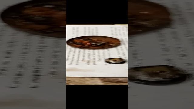 VID_20241016_201908.mp4