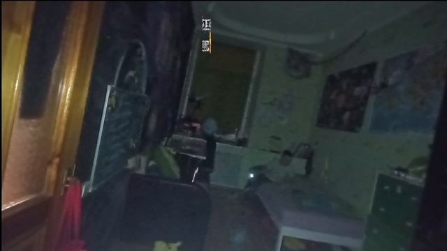 Видео: шиншиллы+темнота.