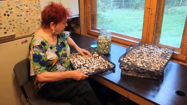 Как хранить сушёные грибы? Правила, проверенные годами.