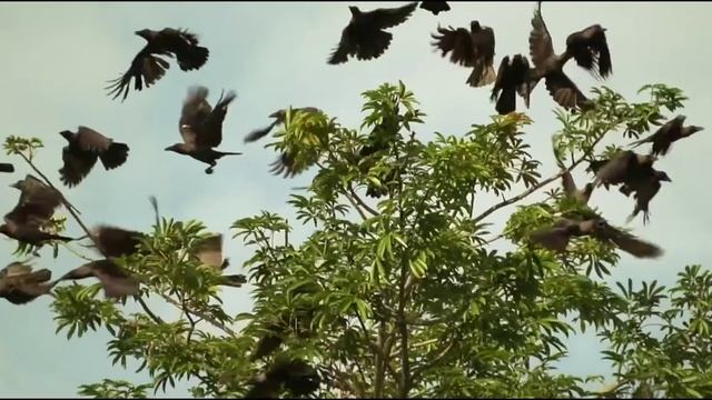 Моя вечная невеста 1 сезон 17 серия