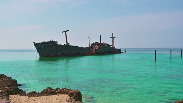 Greek Wreckage & Sea Turtle, Kish Island, Iran