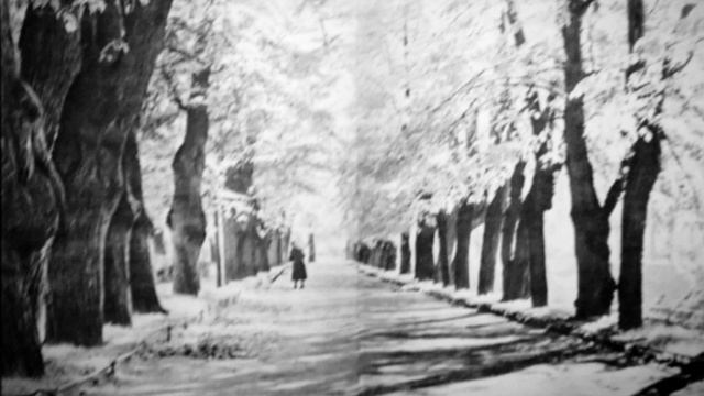 Вы были в Летнем саду? Хотите увидеть, как там было 150 лет назад. "Машина времени" 👉