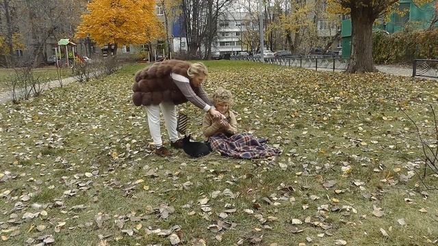 Комедия "Поймай кролика".