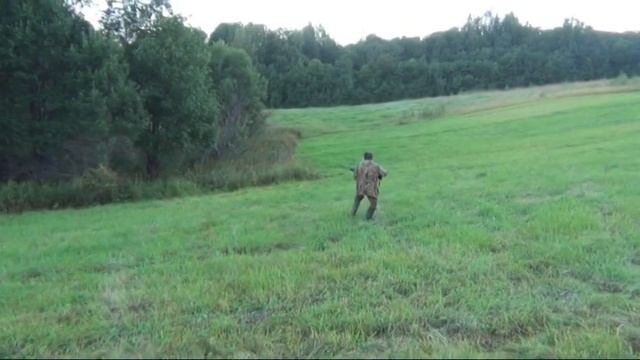 Охота на медведя и не только #охота #мужики #охотник #кабан #медведь