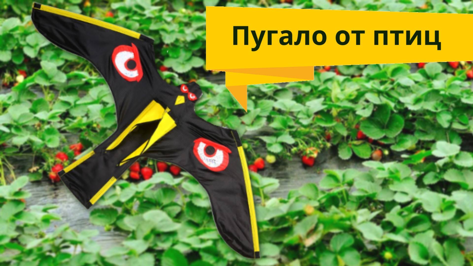 Пугало от птиц: быстро, легко и эффективно!!!