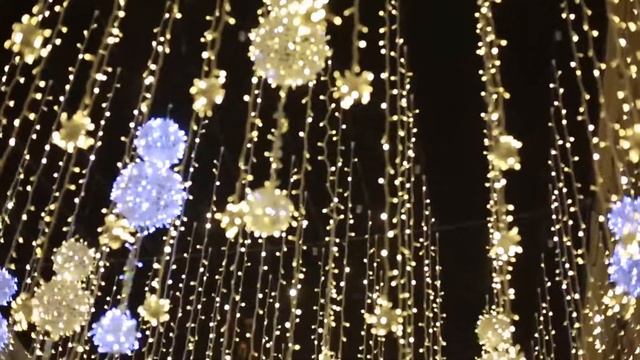 Ирина Шапошникова - Новый год