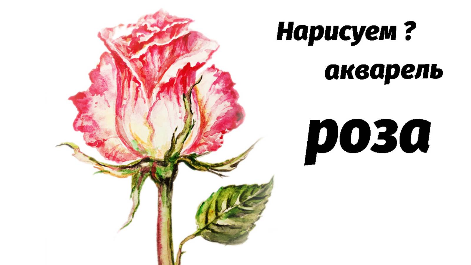 Как нарисовать розу акварелью