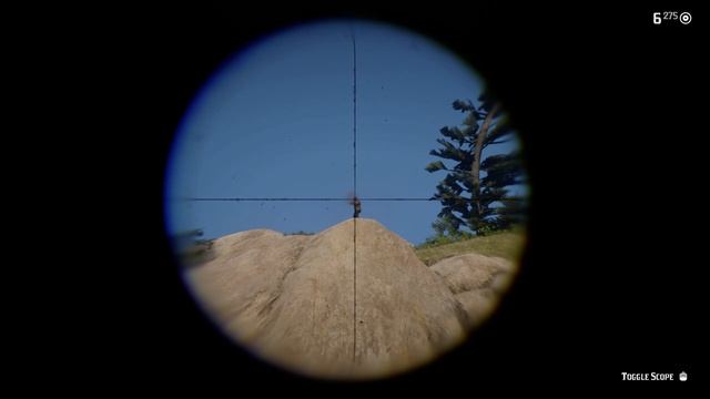 Red Dead Redemption 2 2021 02 15 18 19 17 07 DVR