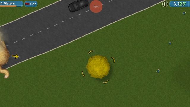 2024-11-03_09-39-57.mp4