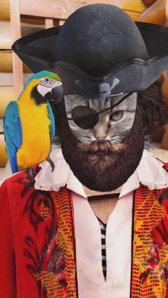 Максик и его сны.