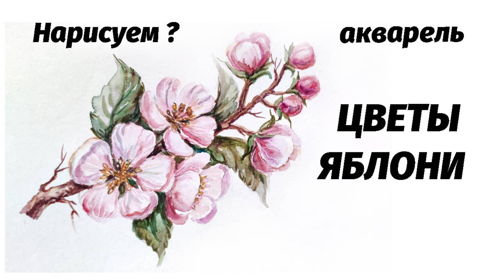 Рисуем цветы яблони акварелью