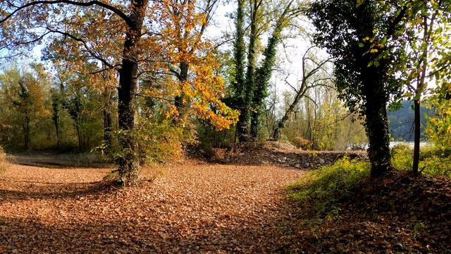 5738232-uhd_3840_2160_30fps