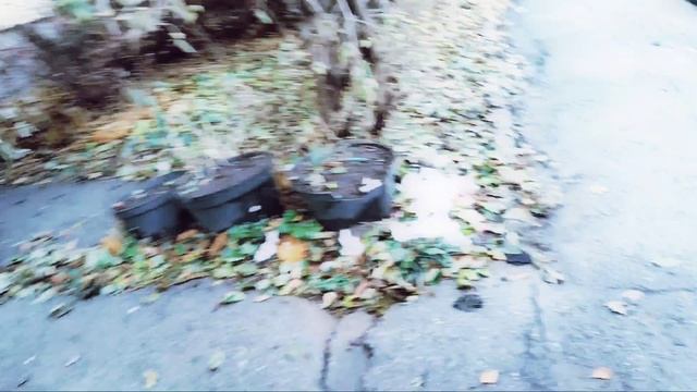 ни когда не играй в прятки с сербской леди 2