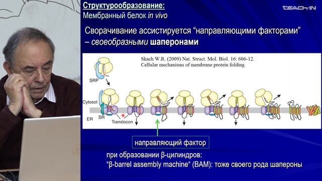 Финкельштейн А.В. - Физика белка - 9. Амилоиды. Фибриллярные и глобулярные белки. Туннельный эффект