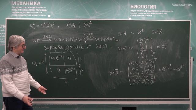 Степаньянц К.В. - Суперсимметрия в ФЭЧ - 13. Состав полей суперсимметричной SU(5) ТВО