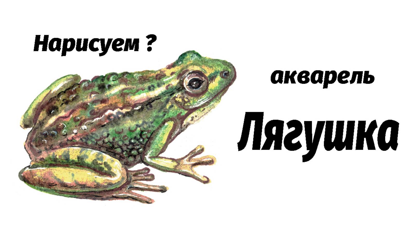 Как нарисовать лягушку акварелью