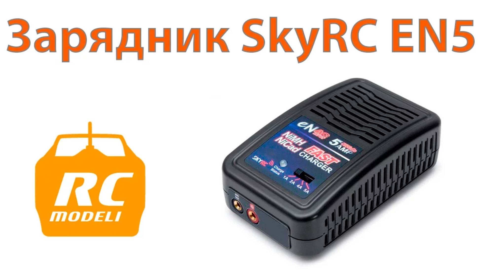 Зарядное устройство SkyRC eN5
