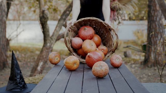 5678978-uhd_4096_2160_30fps