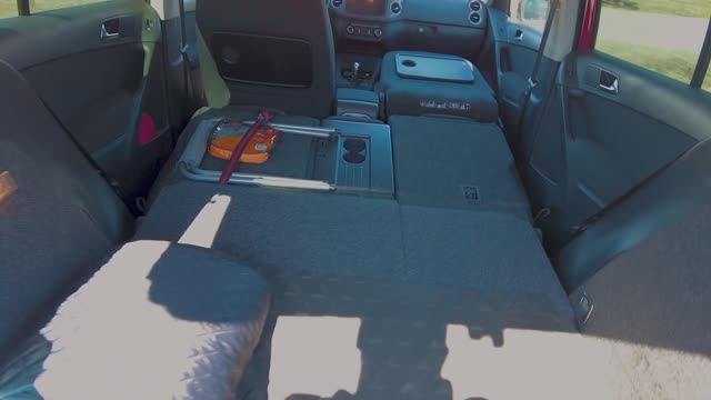 Путешествие в Питер с сумками и с Умкой / 1 эпизод